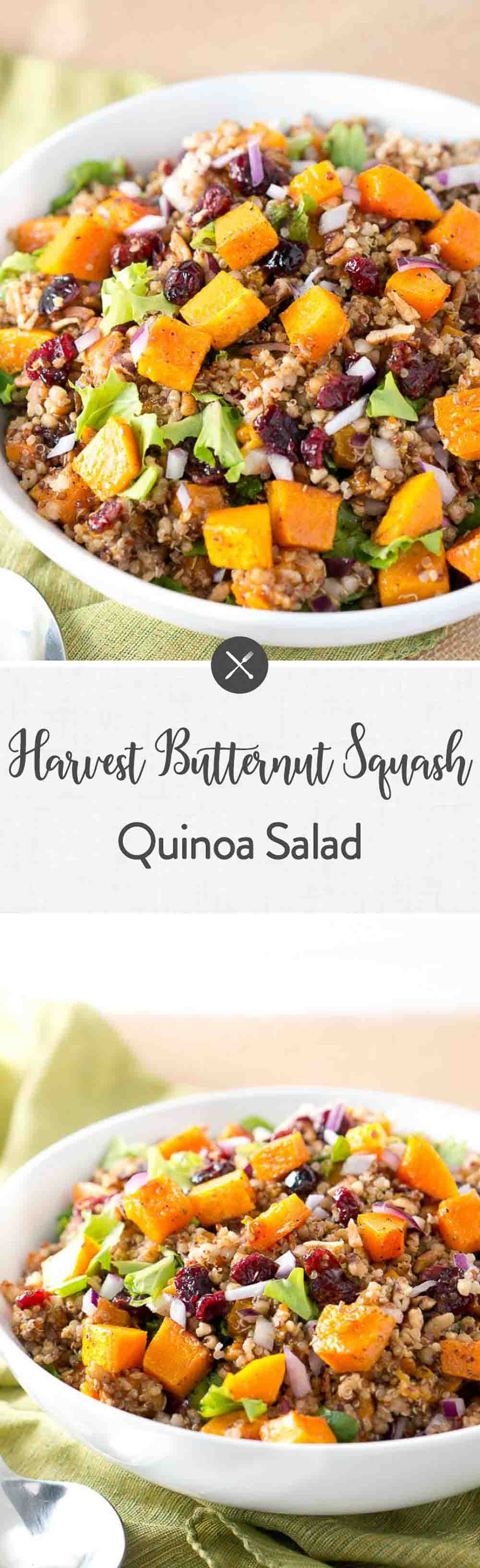Harvest Butternut Squash Quinoa Salad - Delicious Meets Healthy