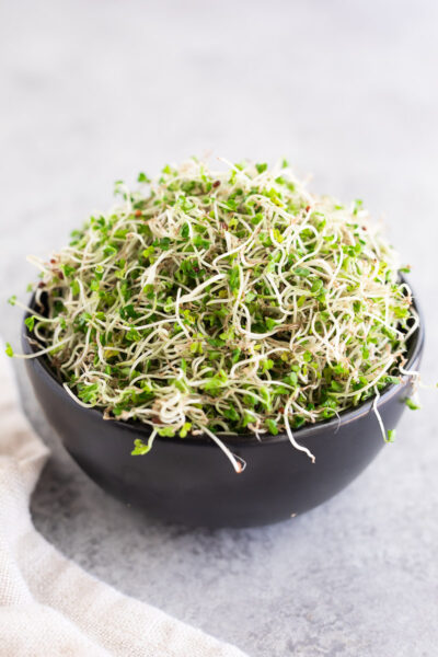 How To Grow Broccoli Sprouts (Step-By-Step Guide) - Delicious Meets Healthy